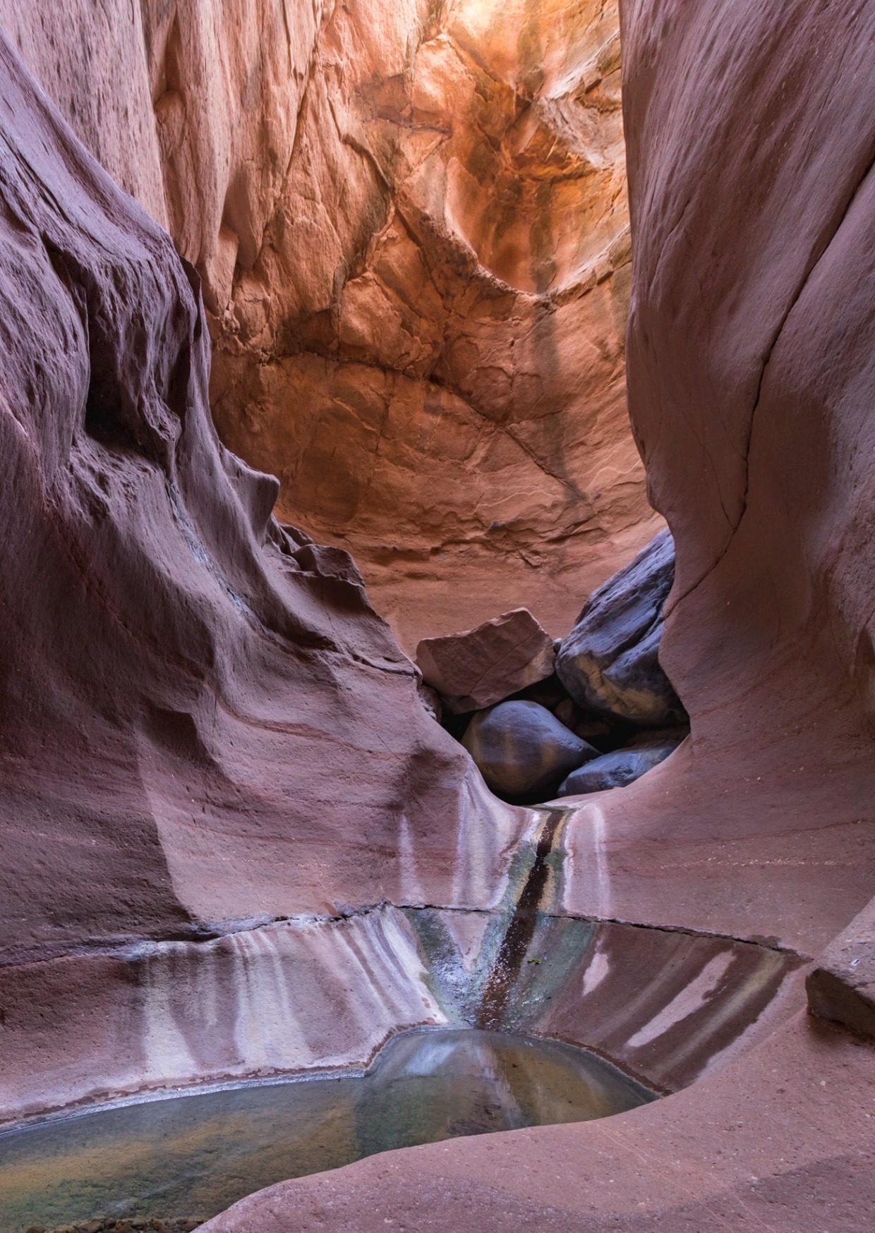 Guided Interpretive Hiking in Canyon. - Outpost Charters